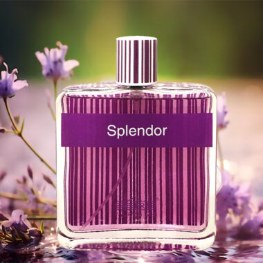 Splendor Perfume for Men and Women EDP 100ml | Seris Prfums